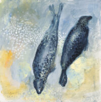 Kurt Jackson – The Cornish Seal | Jackson Foundation Gallery